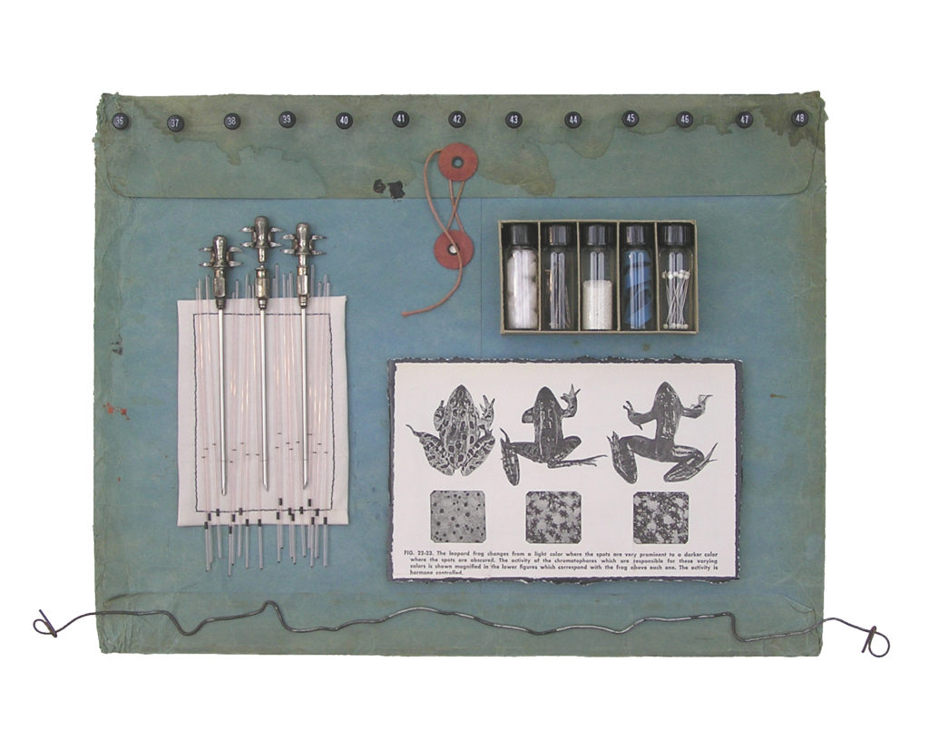 Laura Caffrey – First Saturday Arts Market