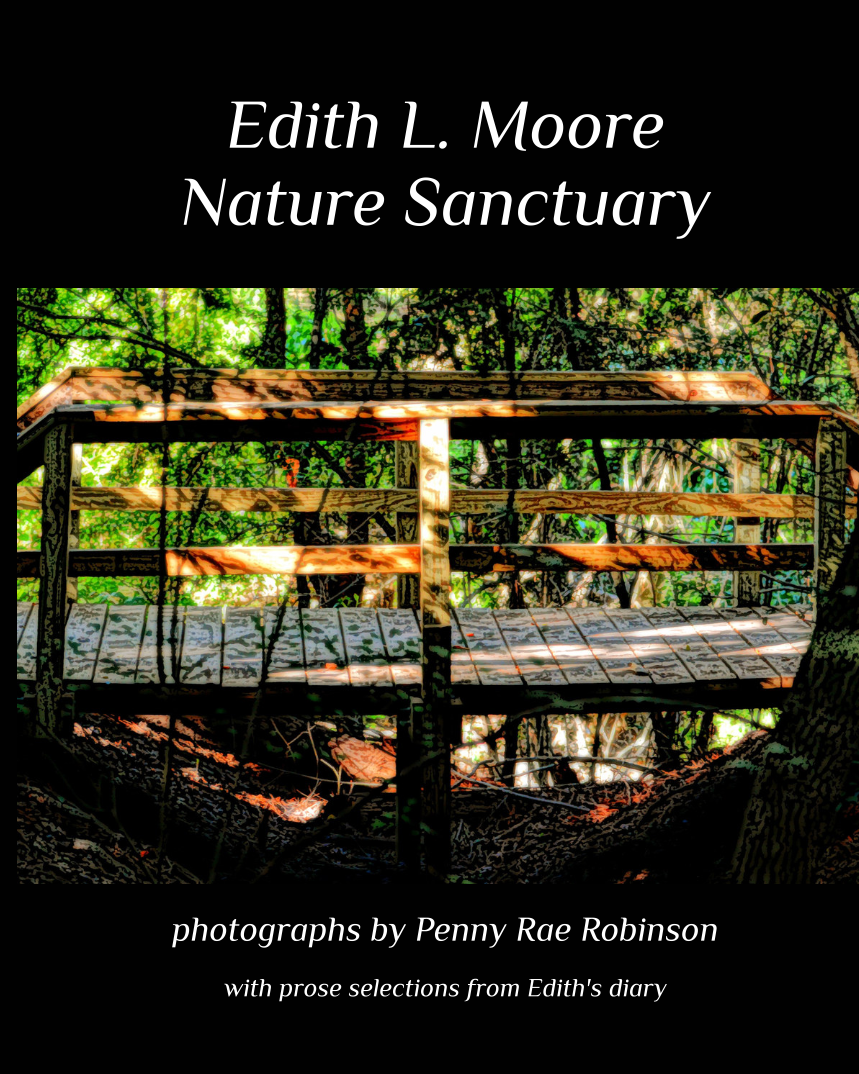 Penny Rae Robinson Images – First Saturday Arts Market